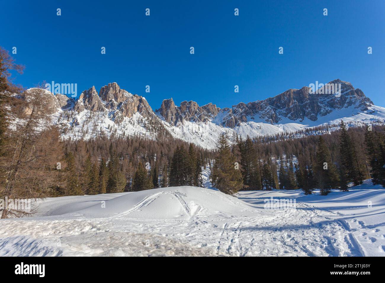 Winter view of Croda da Lago peaks Stock Photo - Alamy