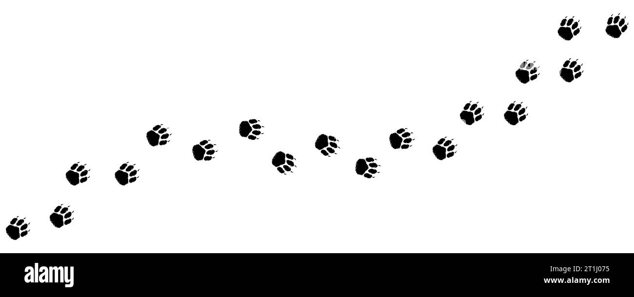 Shaggy dog or puppy path foot prints. Dog paws diagonal track ...