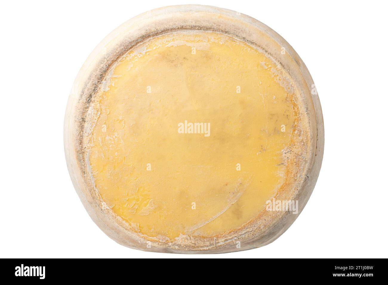 Wheel cheddar. Unsliced aged cheese isolated on white background Stock ...