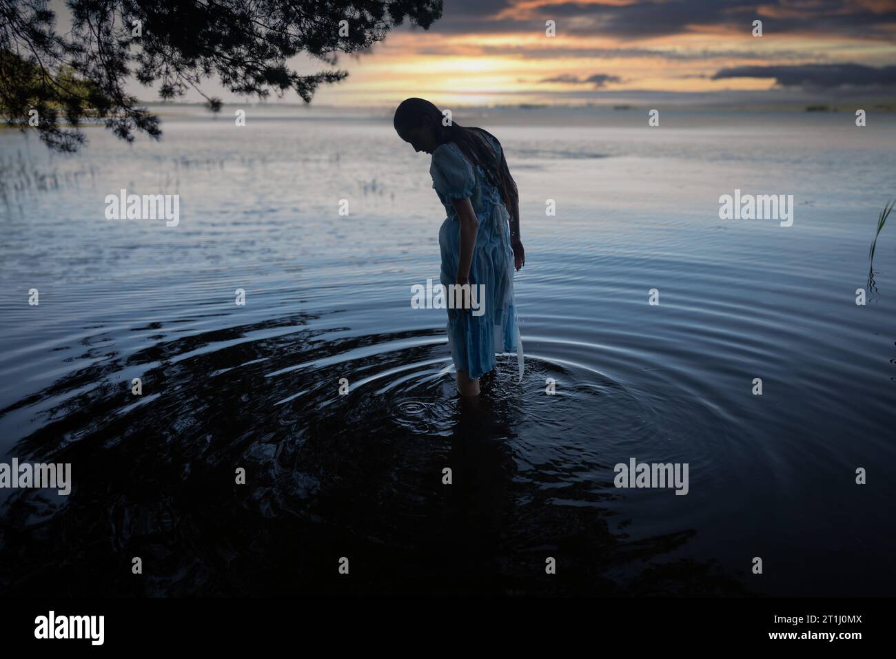 the girl in the blue dress decided to drown herself in the lake Stock ...