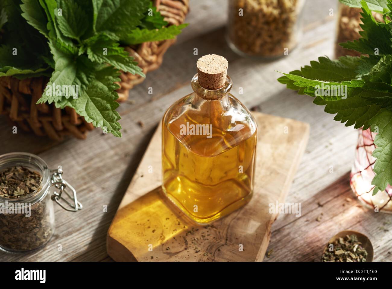 A transparent bottle of herbal tincture with fresh stinging nettle ...