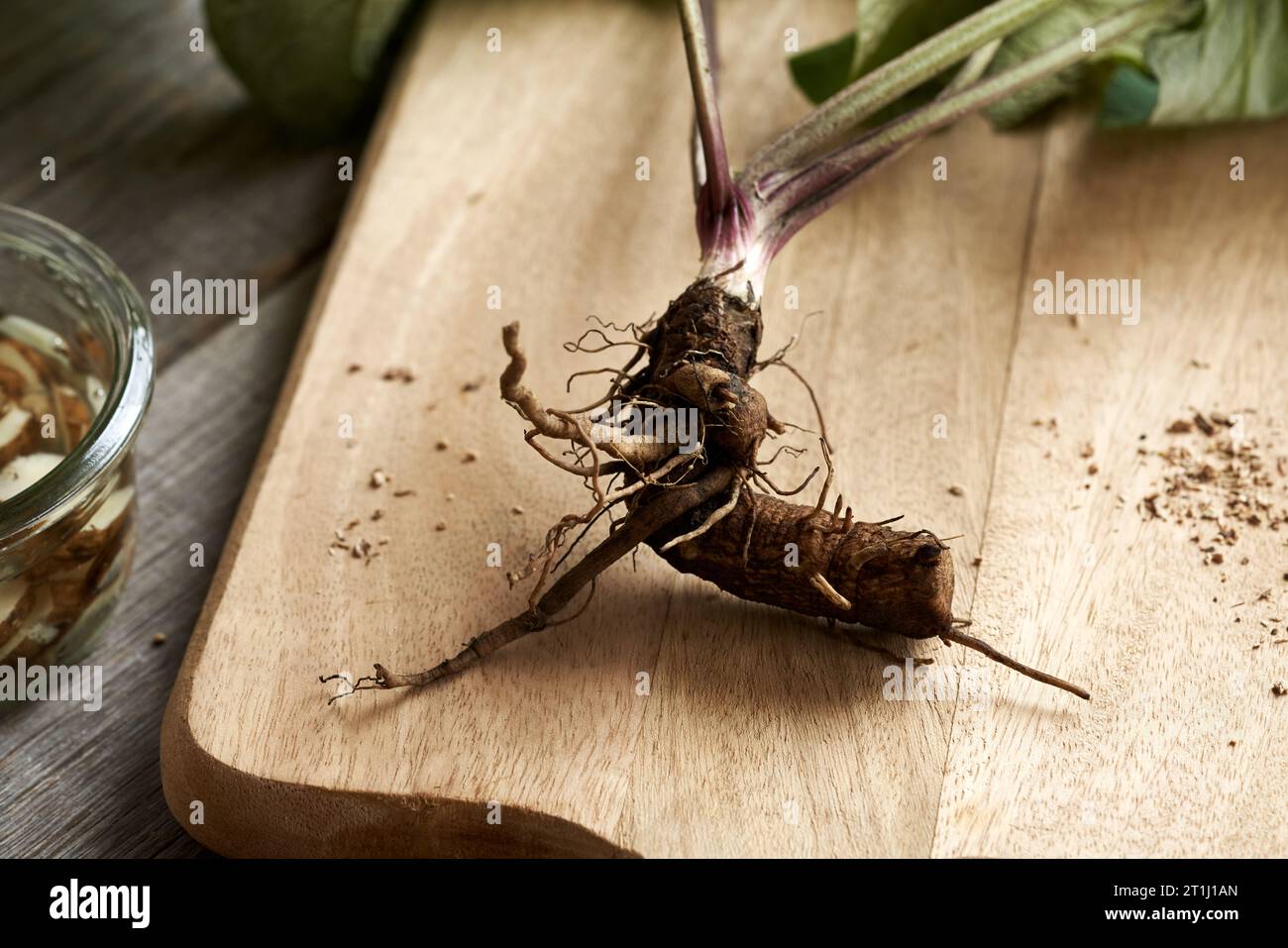 Whole burdock root hi-res stock photography and images - Alamy