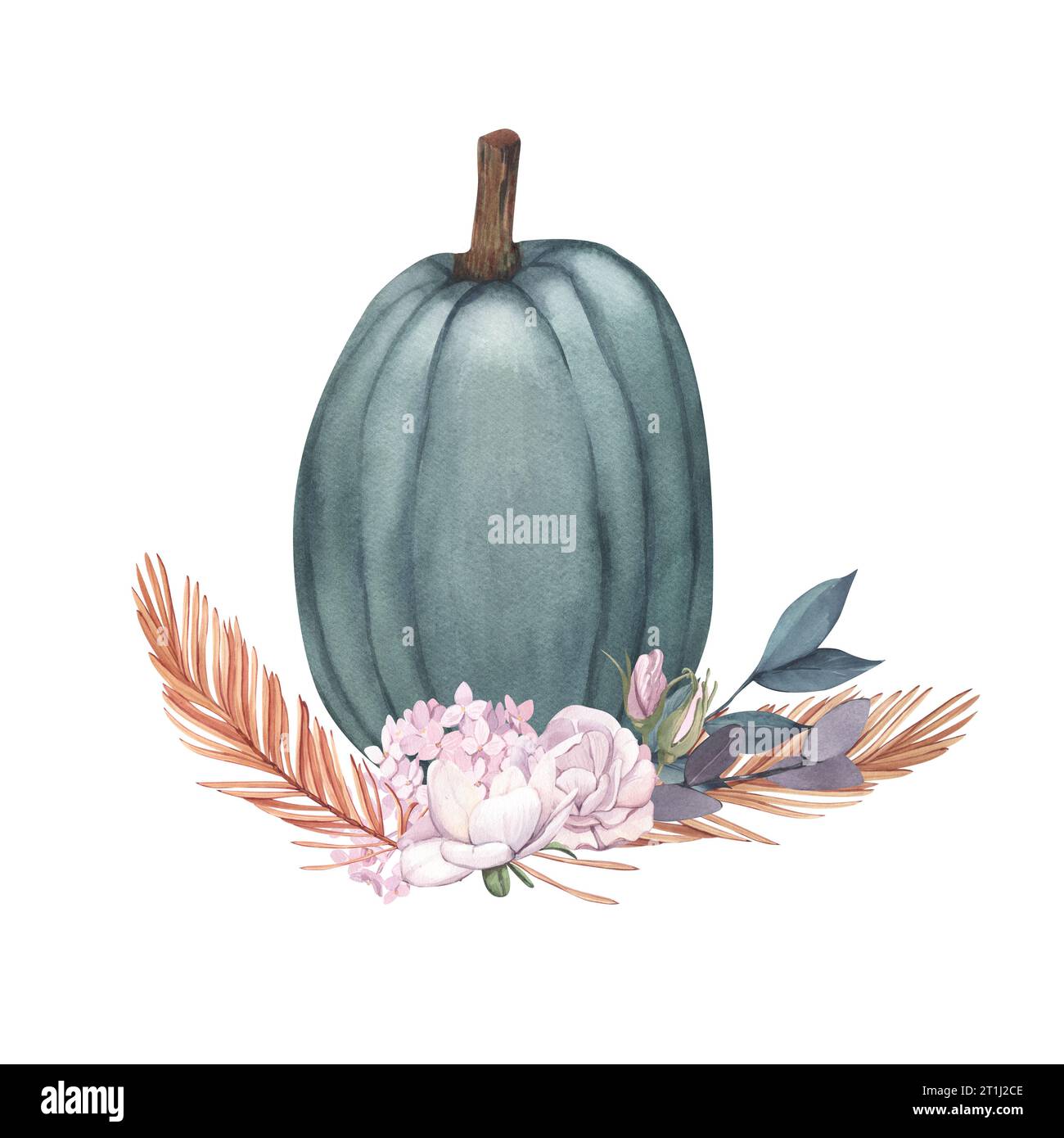 Watercolor whole fresh blue pumpkin and flowers. Hand-drawn ...