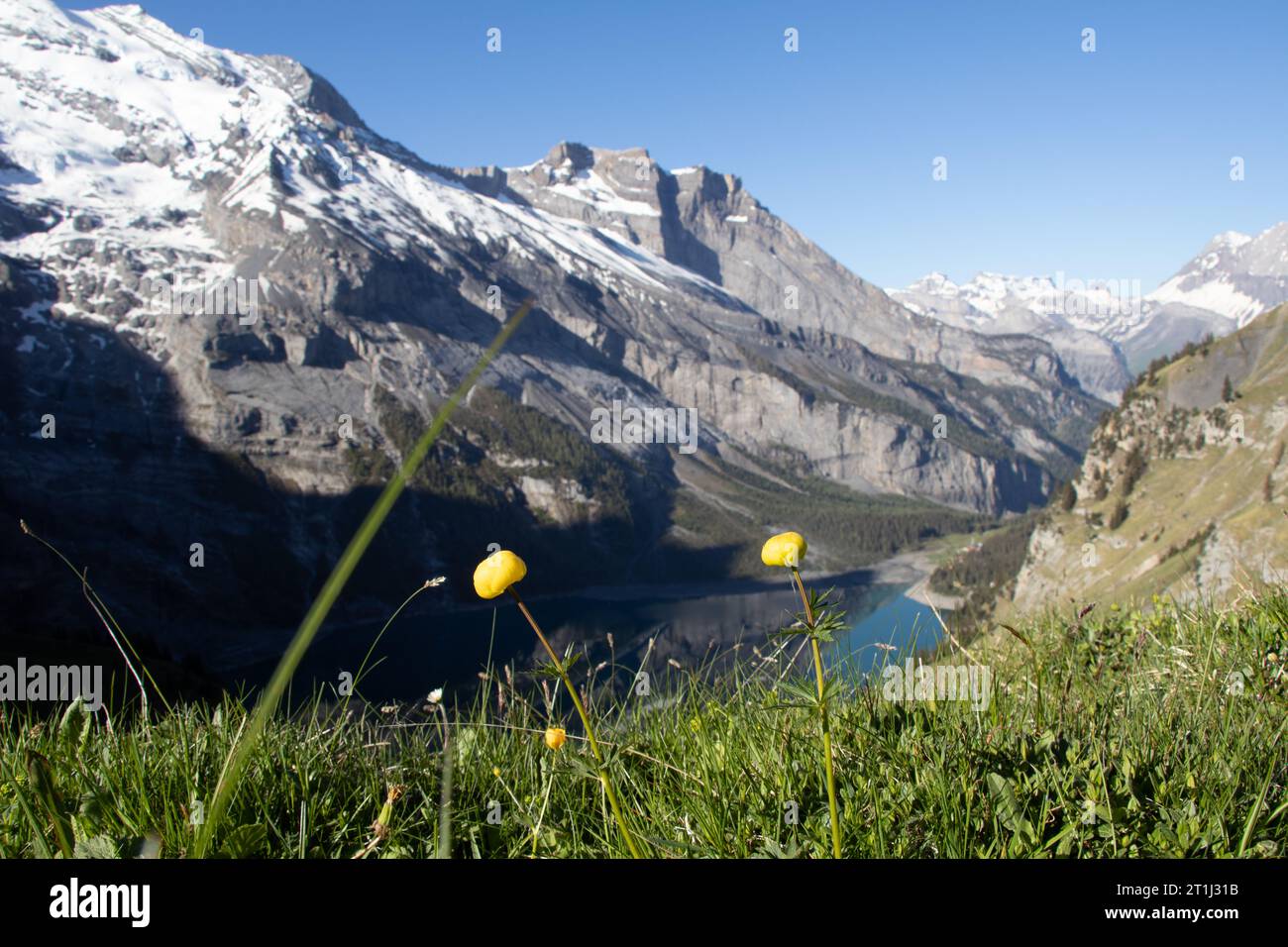 The panorama in summer view over the Oeschinensee (Oeschinen lake) and ...
