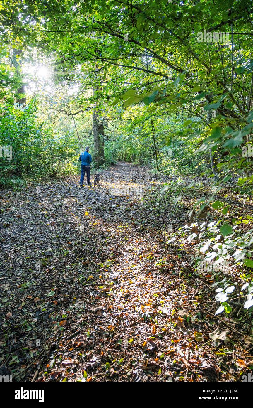Brighton UK 14th October 2023 - It's a beautiful sunny but chilly day ...