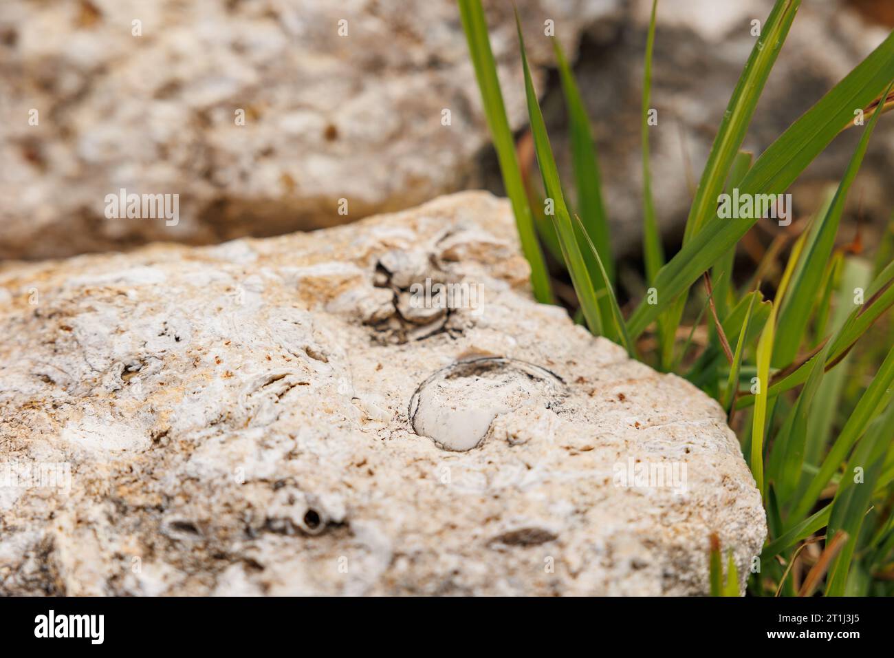 Explore Santa Maria island, landmark with geological interest, rocks ...