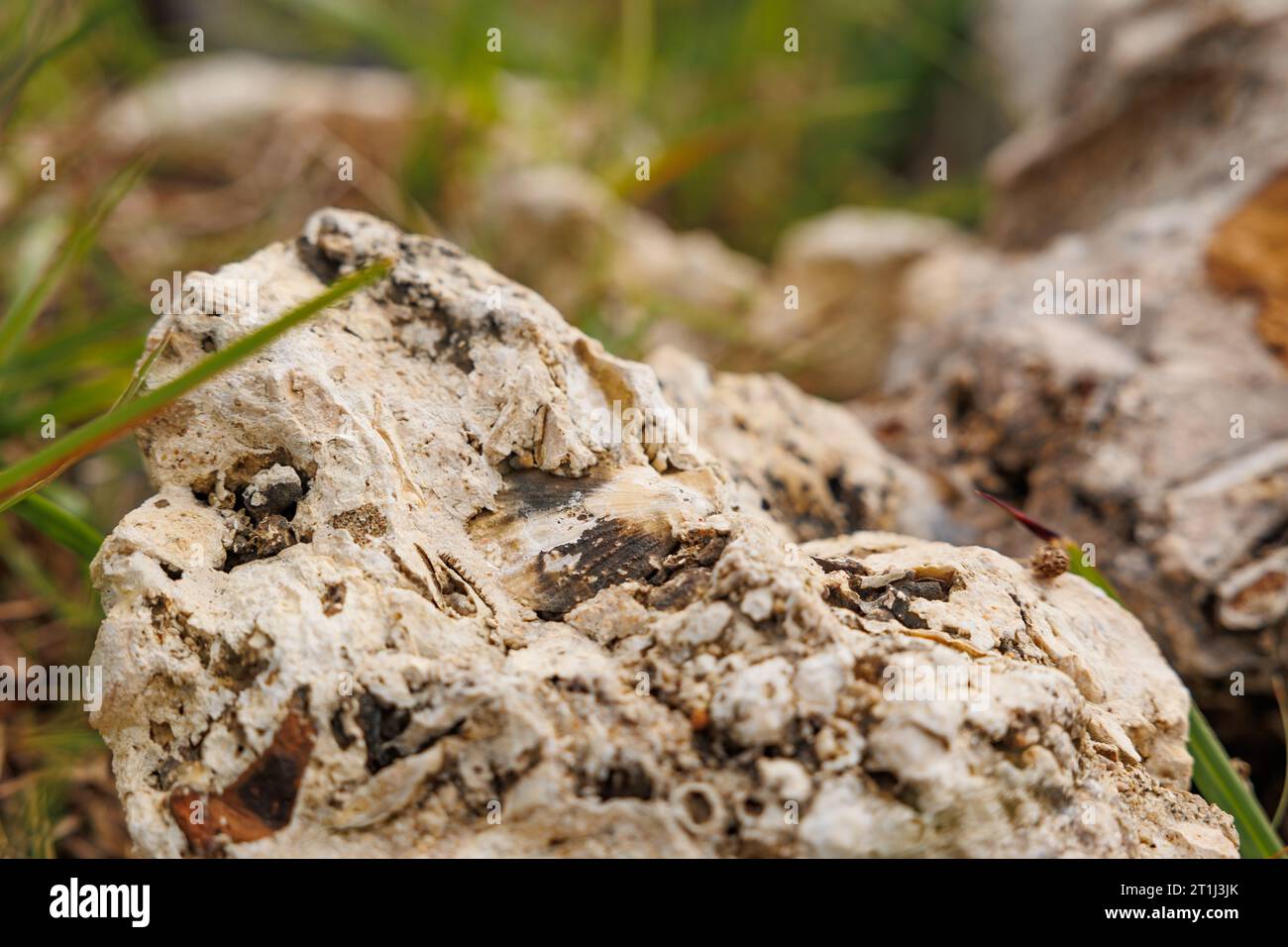 Explore Santa Maria island, landmark with geological interest, rocks ...