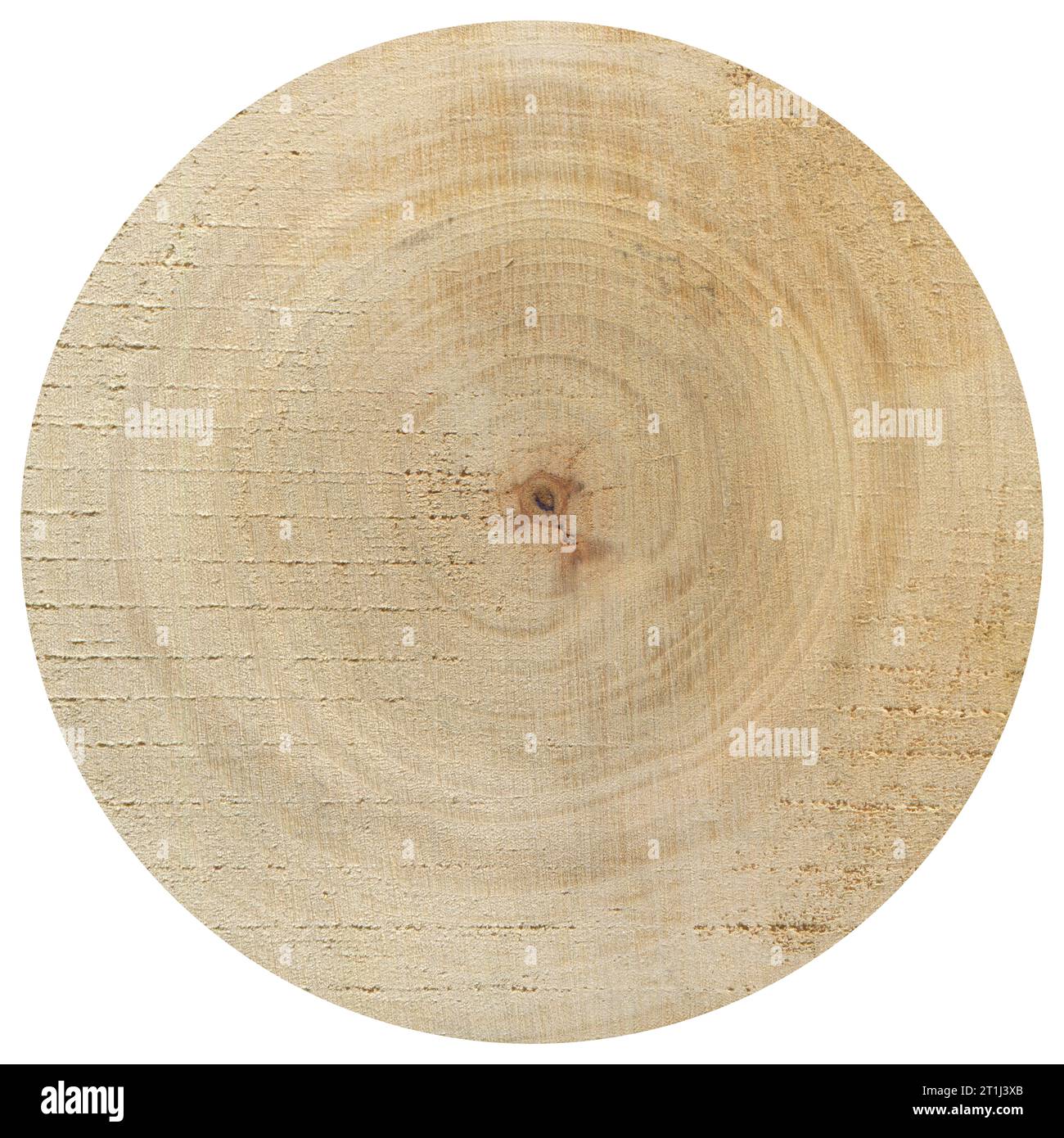 Wood grain texture, walnut wood log, isolated on black background Stock ...