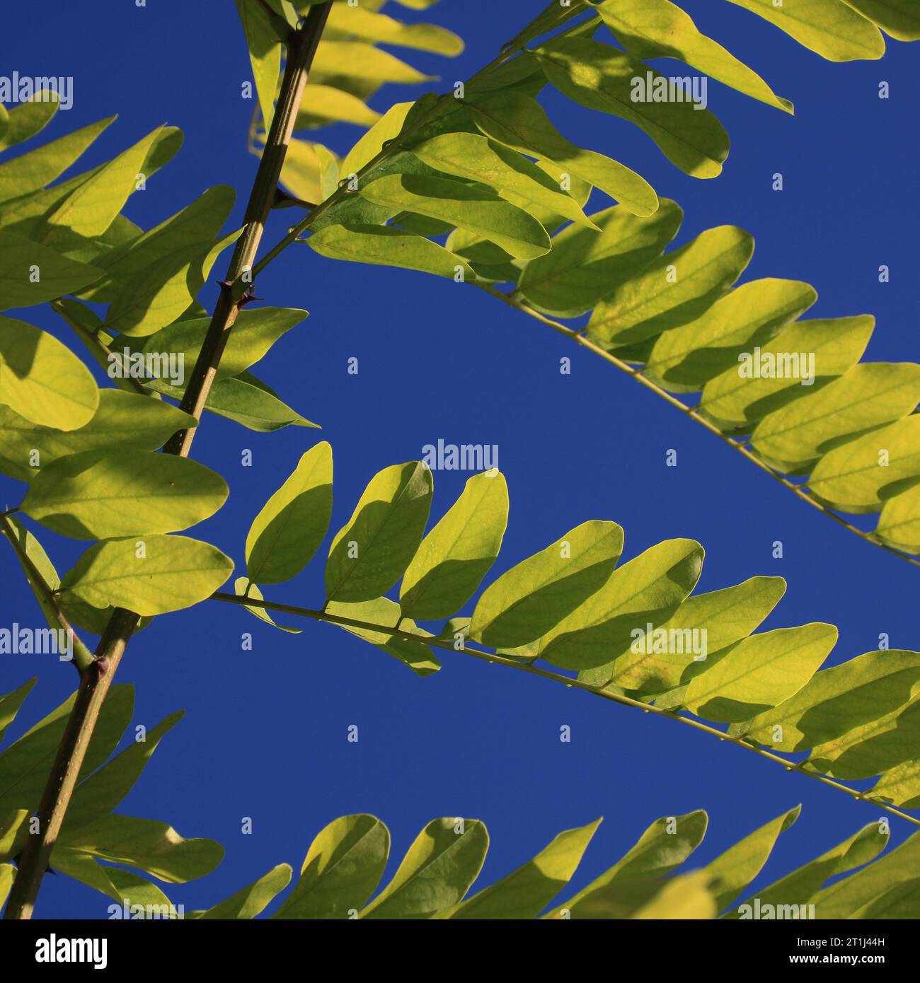 Azure shapes hi-res stock photography and images - Alamy