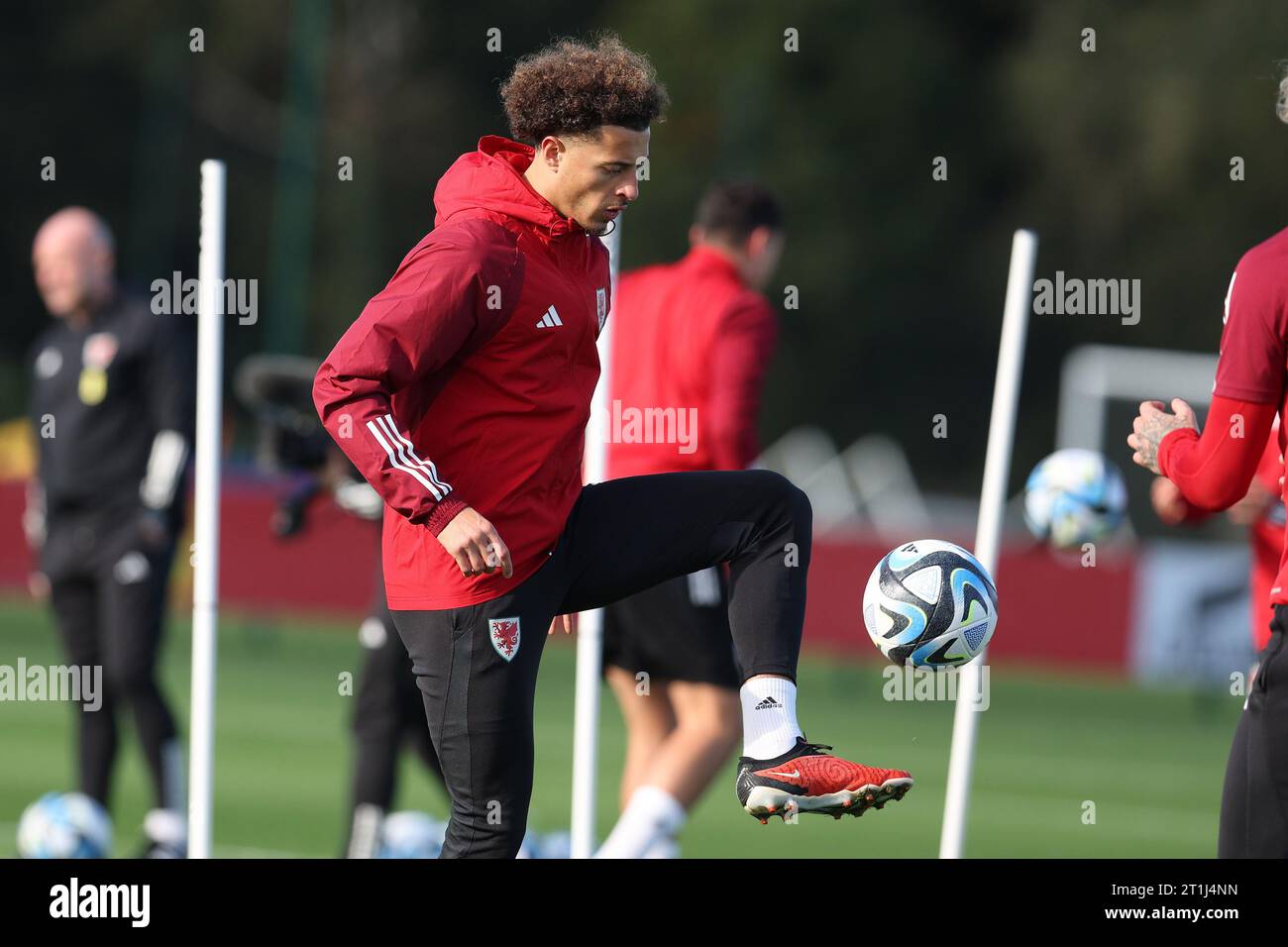 Cardiff, UK. 14th Oct, 2023. Ethan Ampadu of Wales during the Wales ...