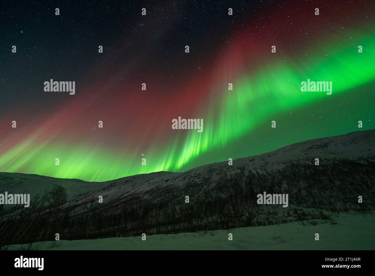 Rare red northern lights, Red Aurora Borealis Stock Photo - Alamy