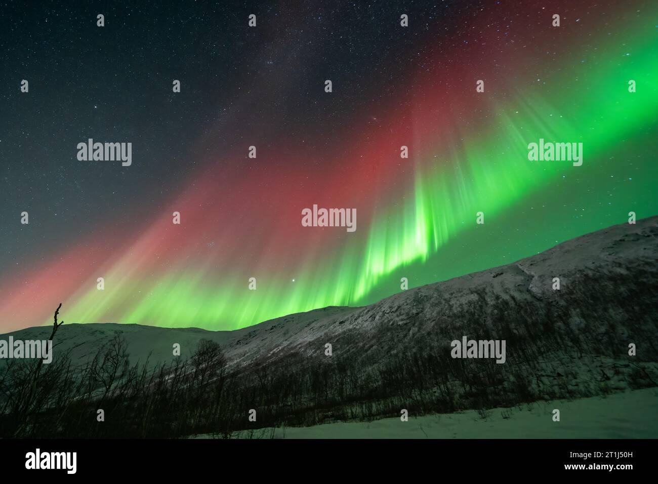 Rare red northern lights, Red Aurora Borealis Stock Photo - Alamy