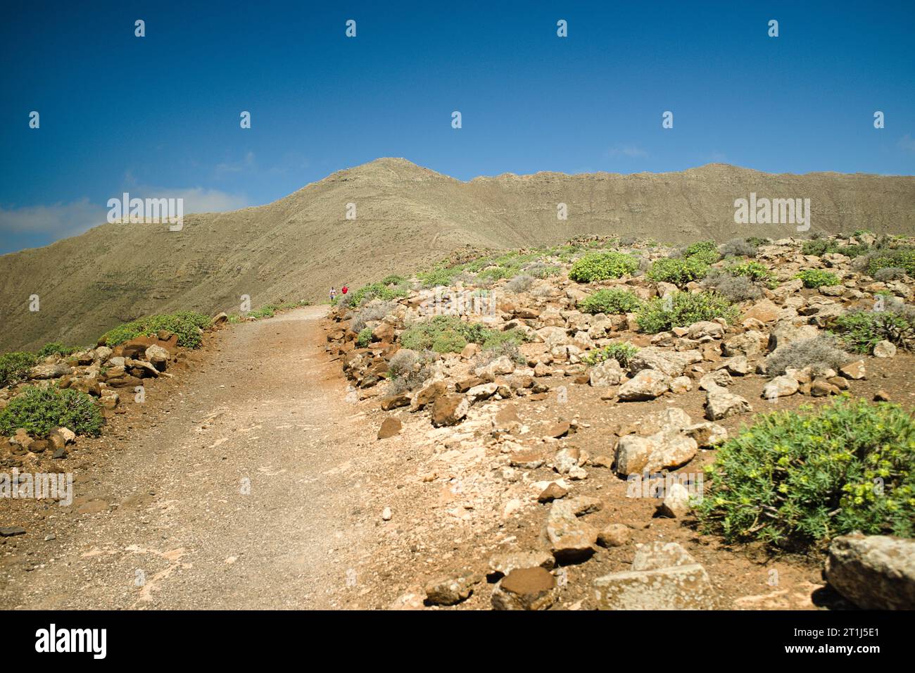 Pico de la Zarza, highest peak of Fuertaventura, Canary Islands Stock ...