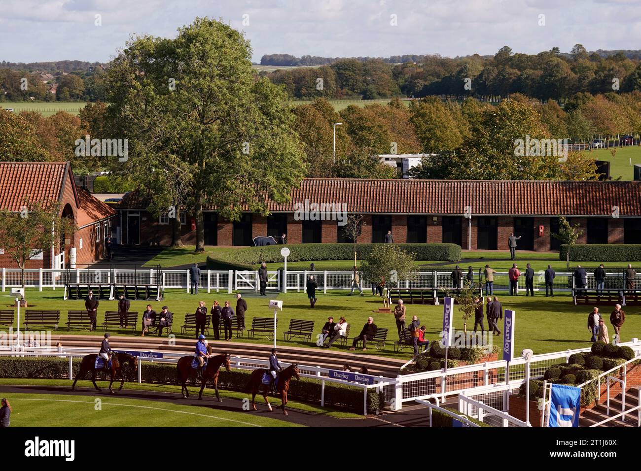 A view of the stables as the Retraining of Racehorses presentation gets ...