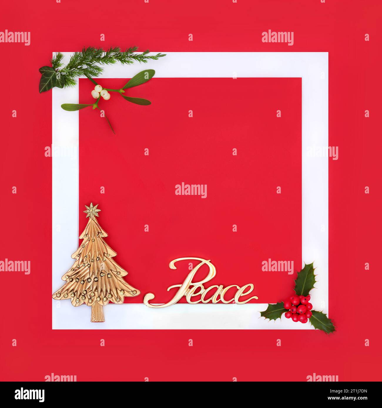 Christmas peace sign tree holly and winter greenery flora background ...