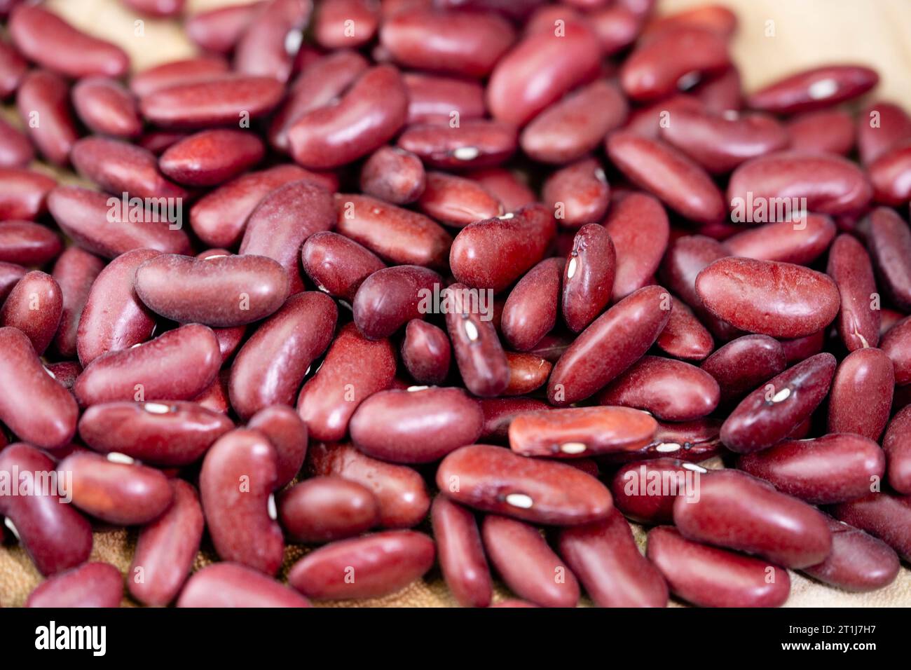 dried red kidney beans out of the own garden Stock Photo - Alamy