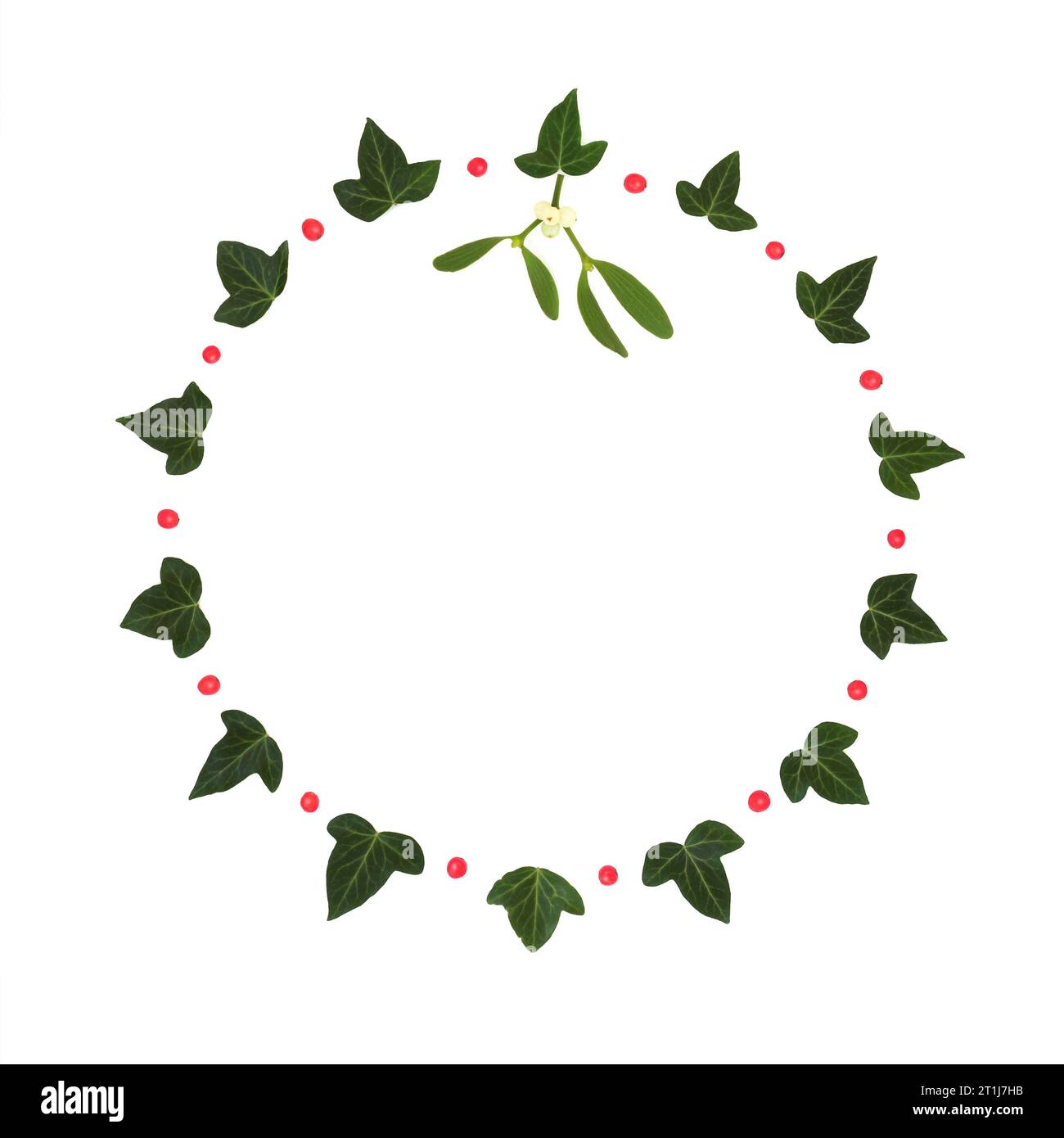 Christmas winter wreath with holly, mistletoe and ivy leaves. Minimal ...