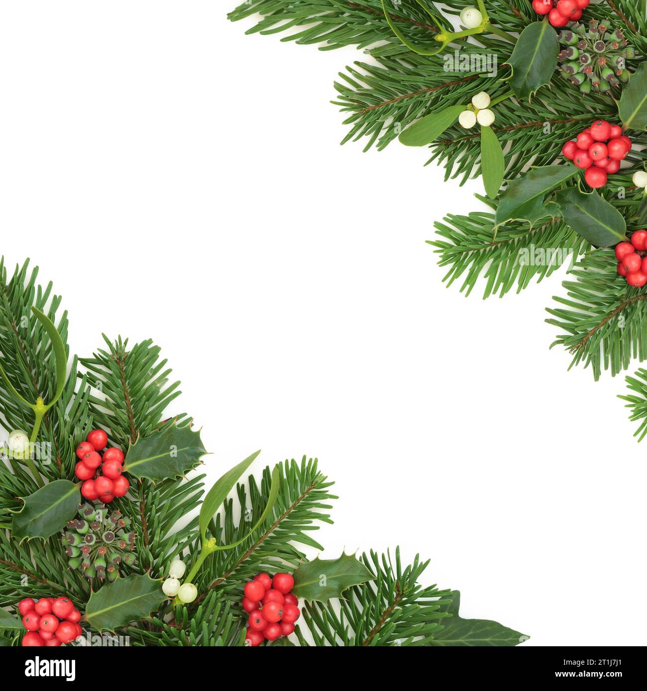 Christmas traditional winter nature background border with holly ...
