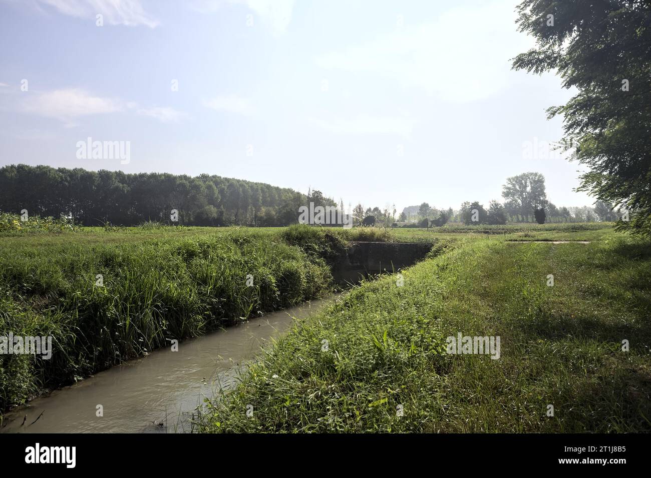 Cultivated field bordered by a trench full of water in the italian ...