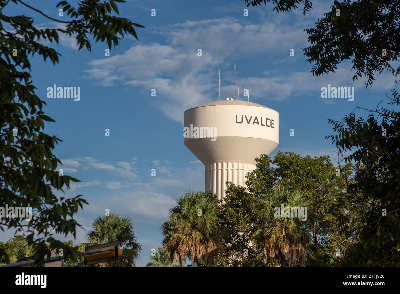 Looking up at the white municipal water tower framed by trees in Uvalde ...