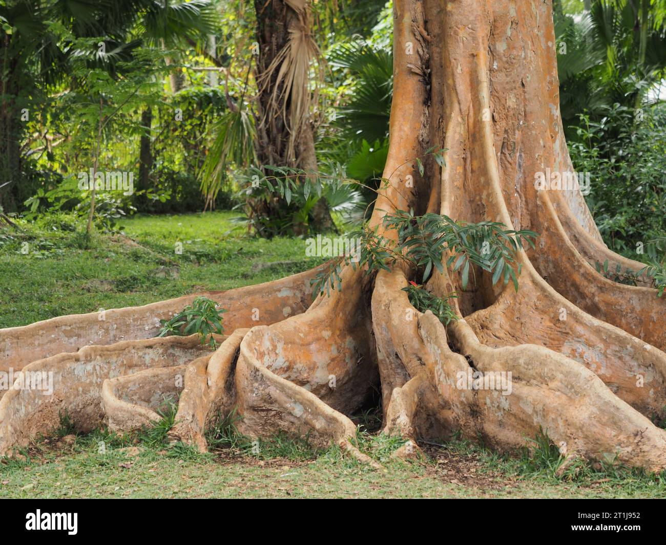 Seewoosagur ramgoolam hi-res stock photography and images - Alamy