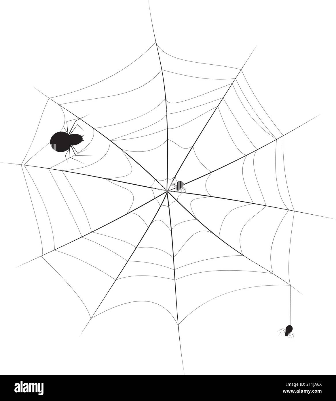 Black and white image of a web and spiders crawling on them. Vector ...