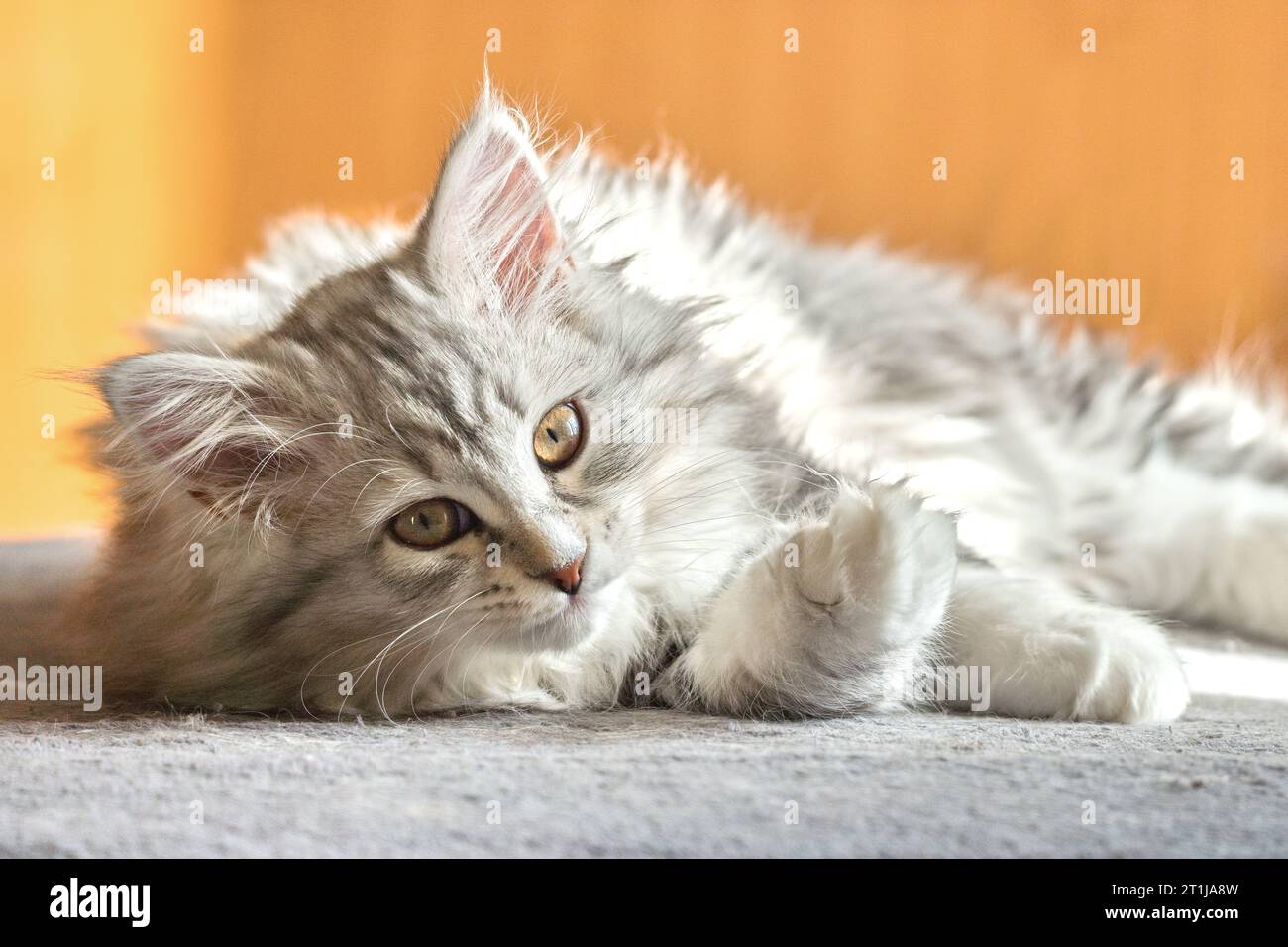 Reduce therapeutic hi-res stock photography and images - Alamy