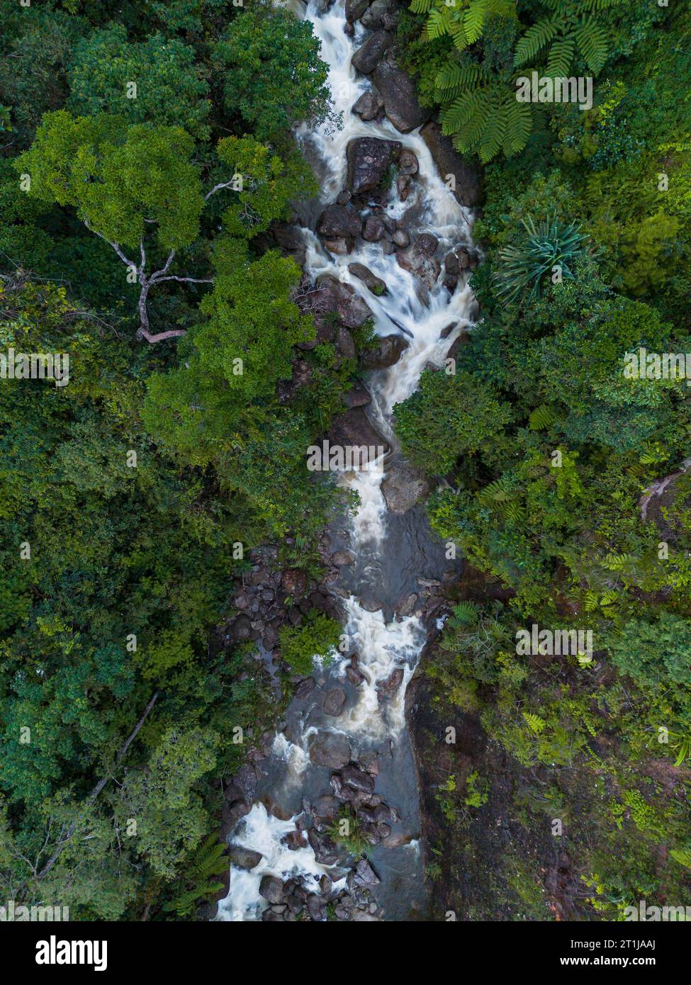 Aerial top down view of streaming river in between forest. It is in ...