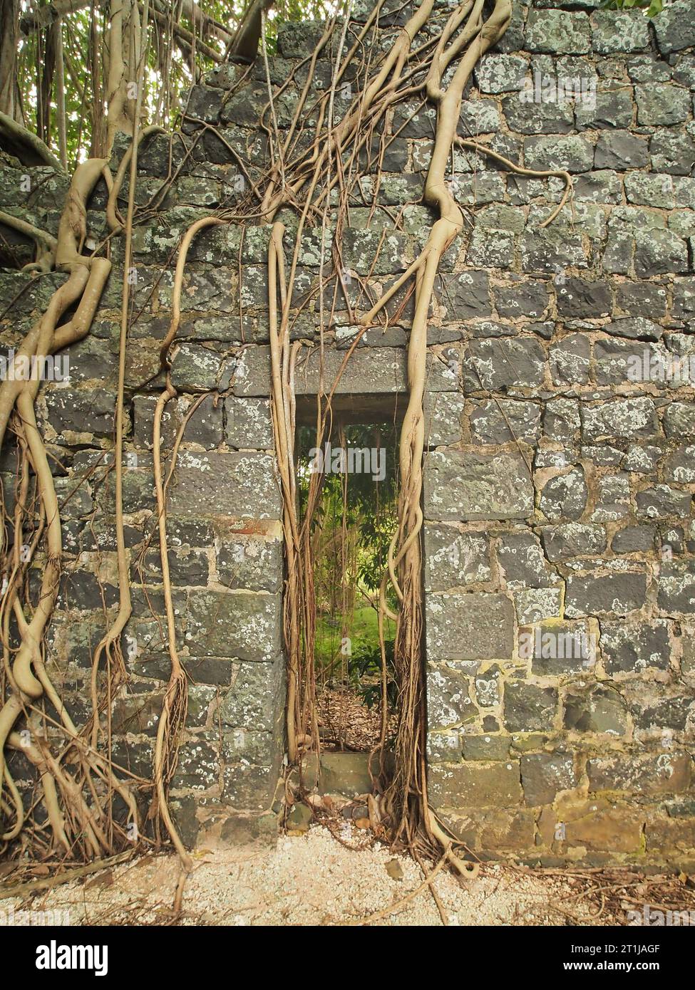 Historical Ruins of Balaclava, Mauritius Stock Photo - Alamy