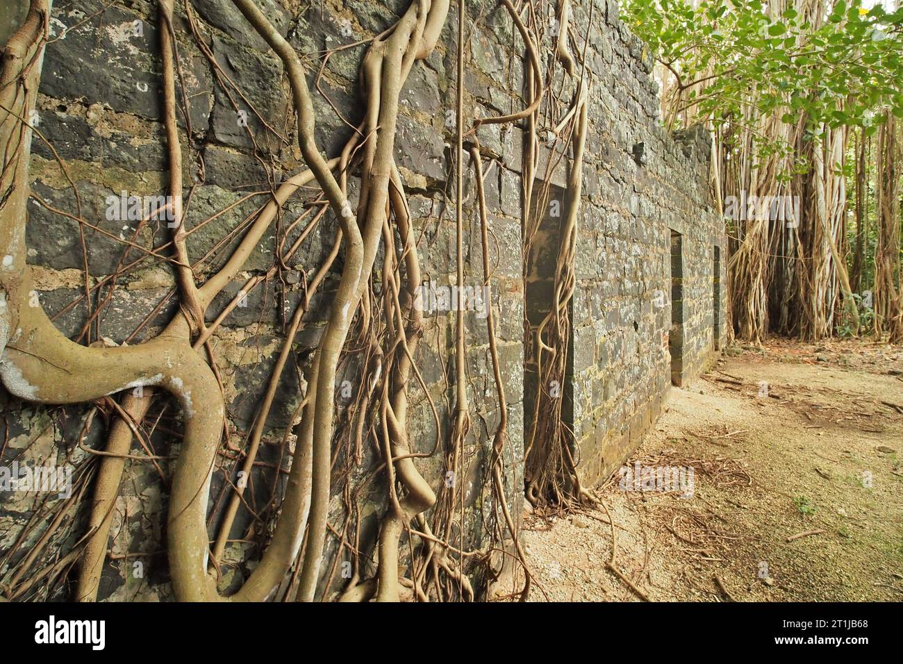 Historical Ruins of Balaclava, Mauritius Stock Photo - Alamy