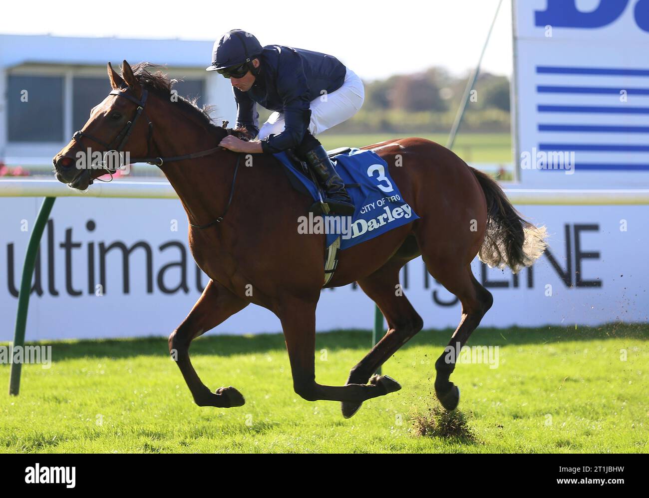 City Of Troy and Ryan Moore coming home to win the Native Trail's ...