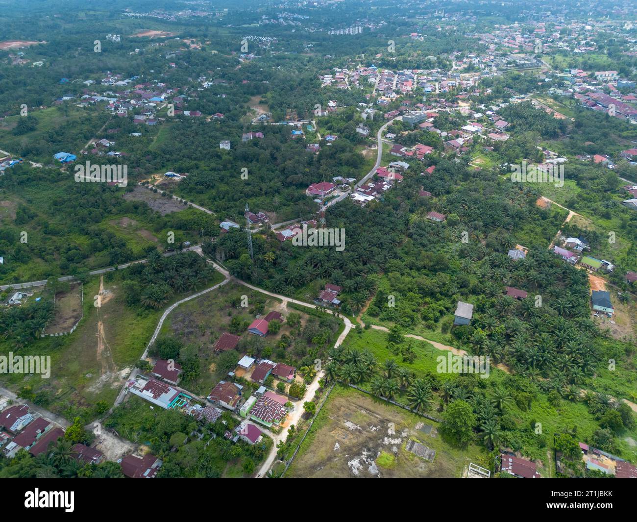 Aerial View of Pekanbaru city skyline with many trees in Indonesia. The ...