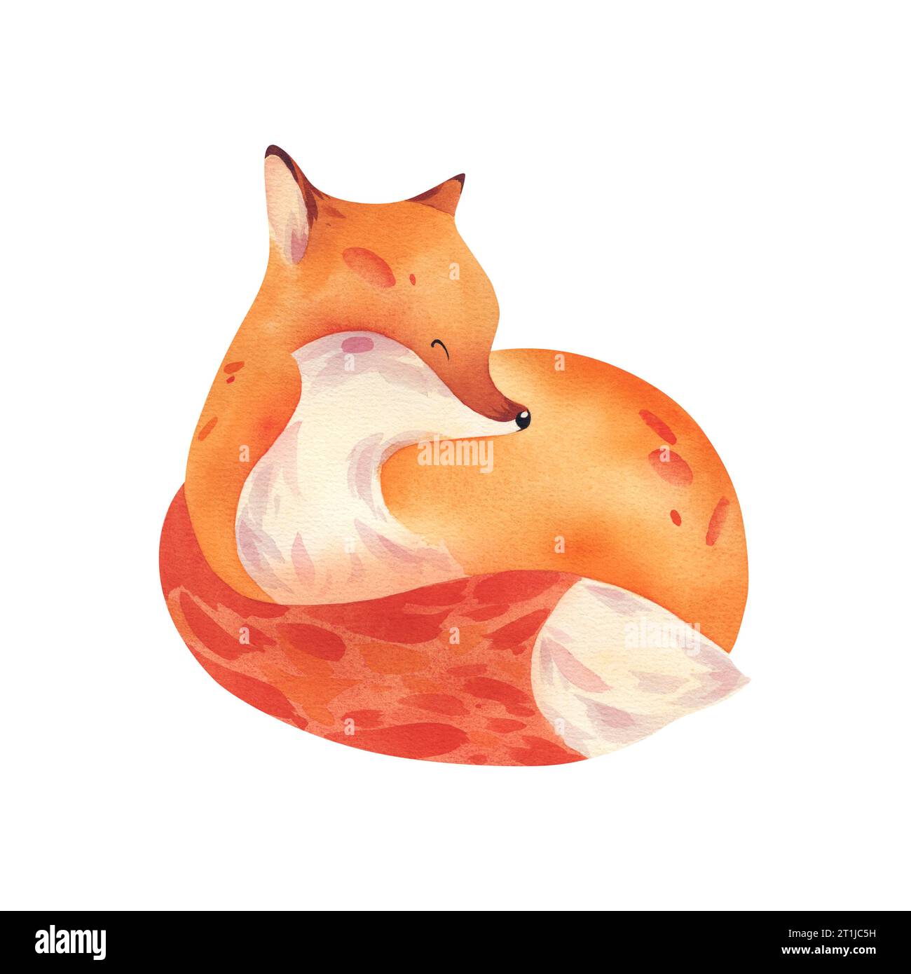 A fox in a lying position. Watercolor illustration. Forest animals for ...