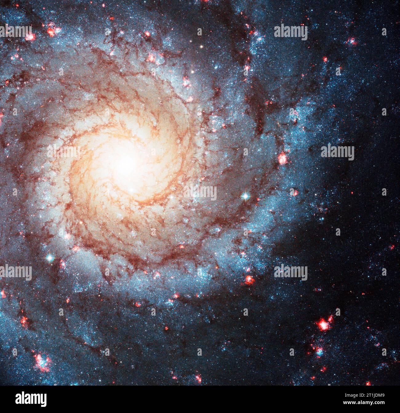 Star, galaxy or universe in space on dark background in the natural ...