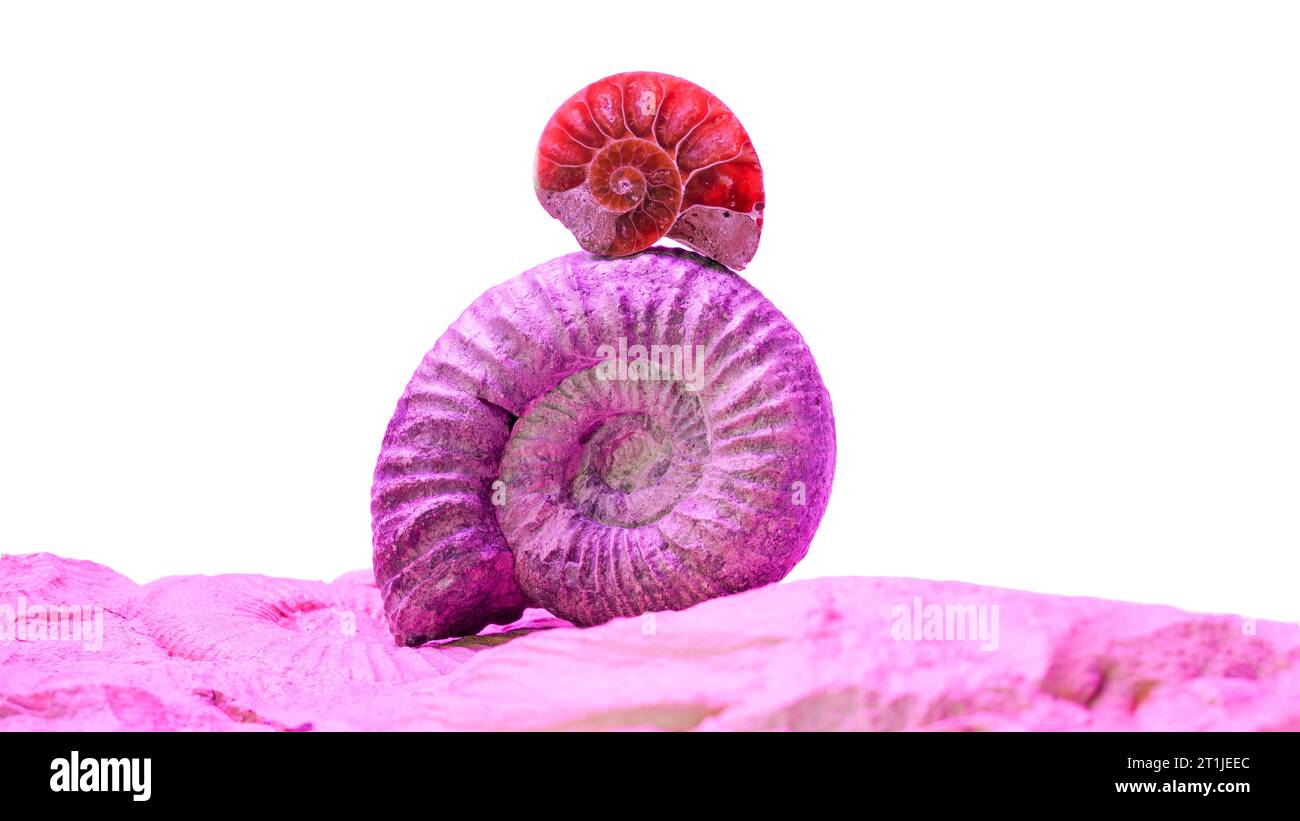 Objects Things Different Isolated Against White Background Stock Photo ...