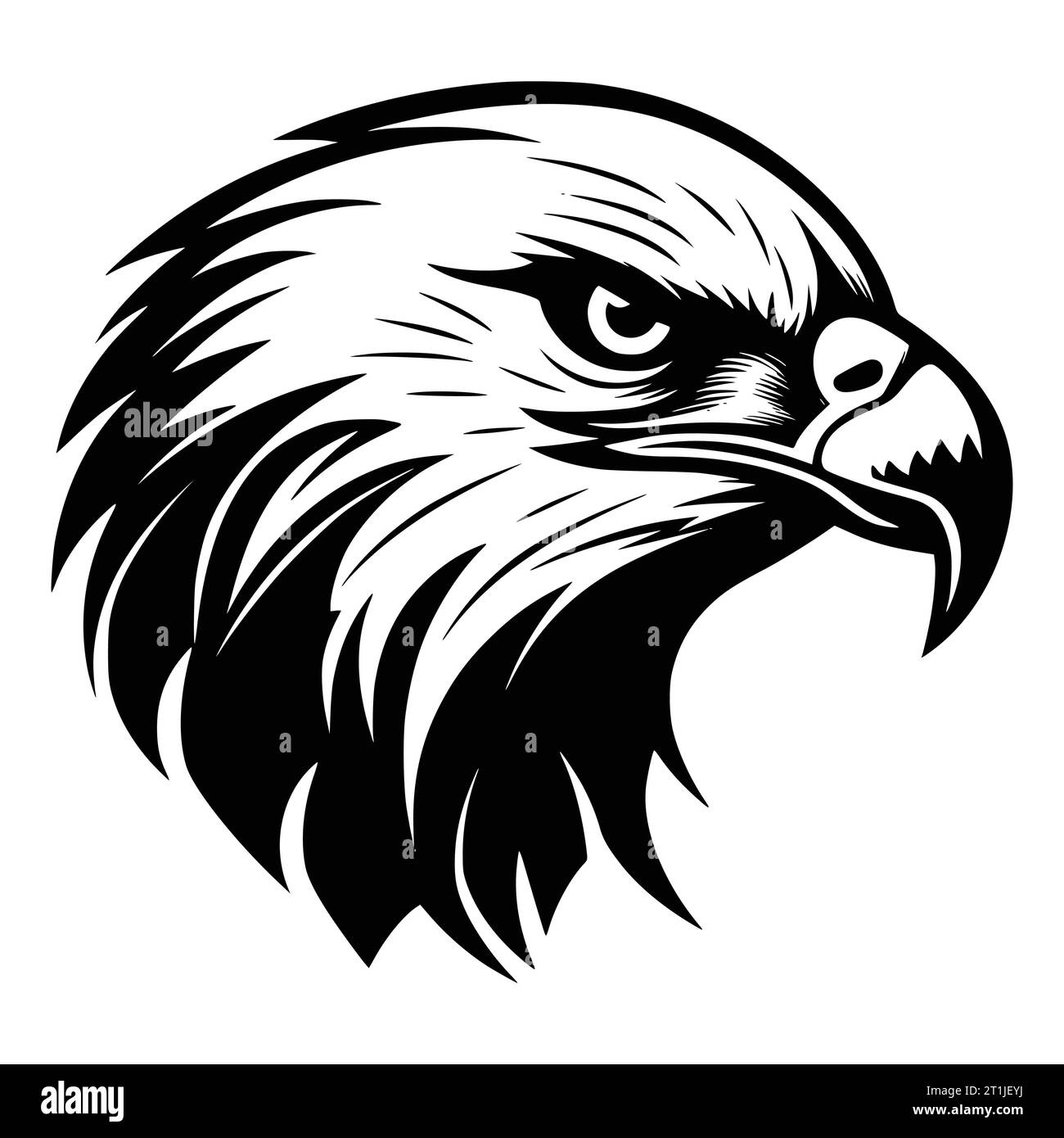 Angry eagle logo hi-res stock photography and images - Alamy