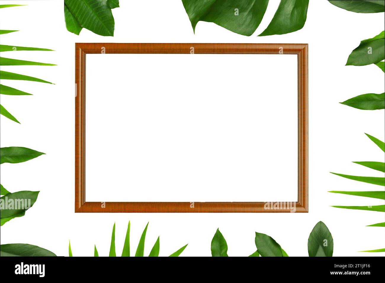 green tropical leaves, Brown wooden frame on isolated background.Square ...