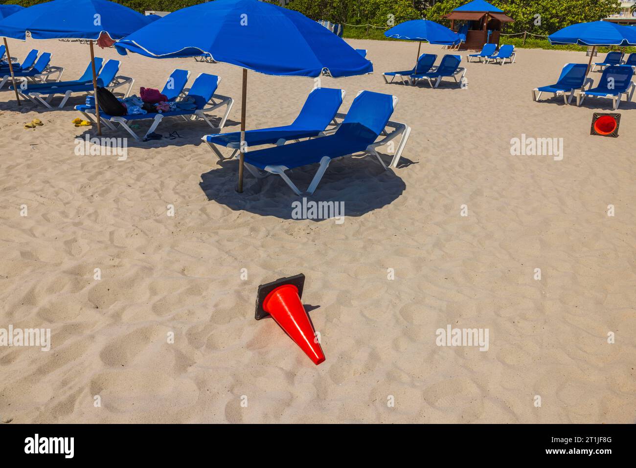 View of groups of blue sunbeds beneath sun umbrellas on Miami Beach ...