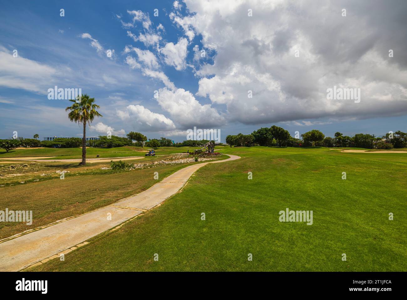 View of green grass golf field on background blue sky with white clouds ...