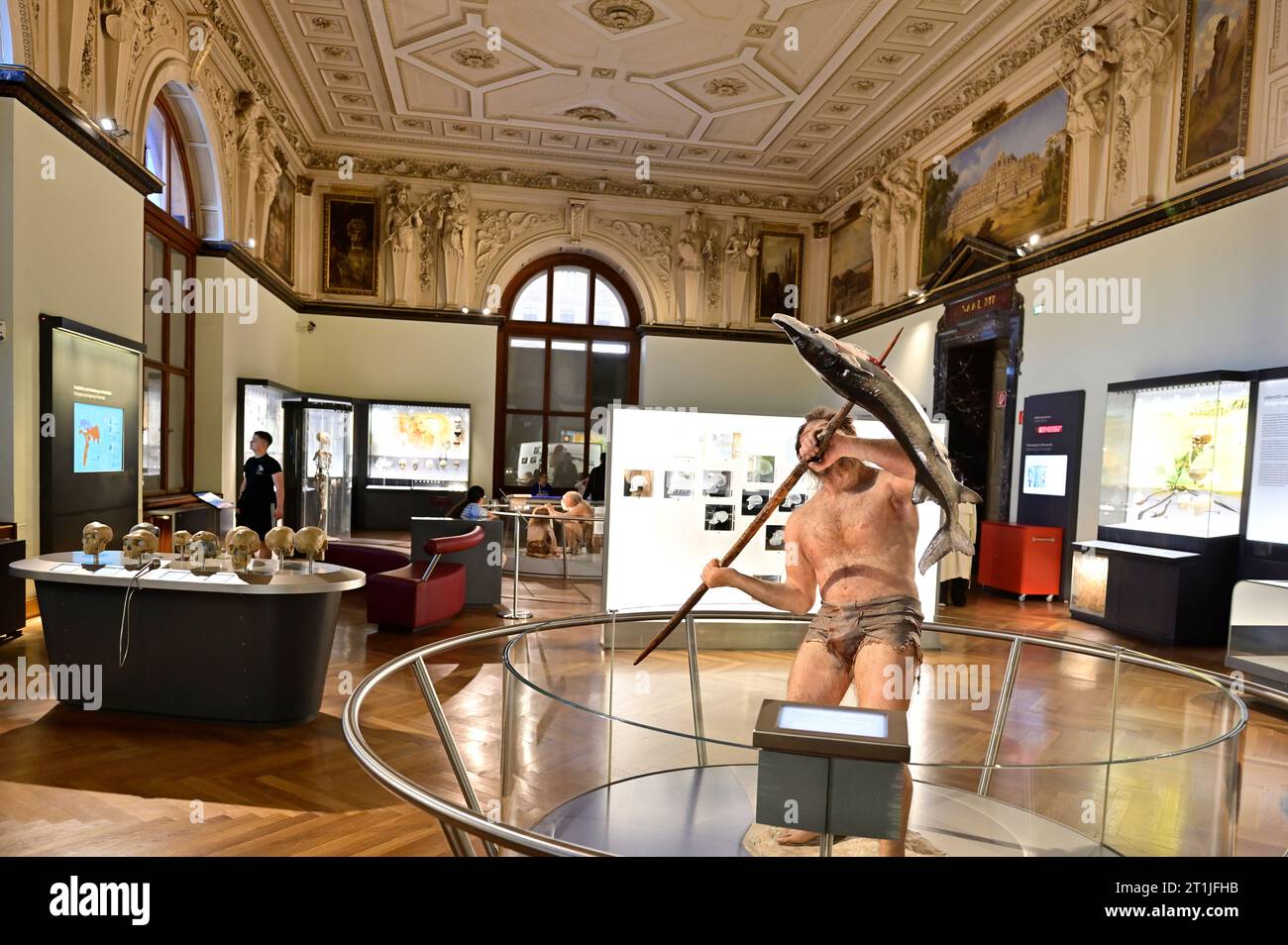 Vienna, Austria. Anthropology Hall (Homo erectus) in the Natural ...