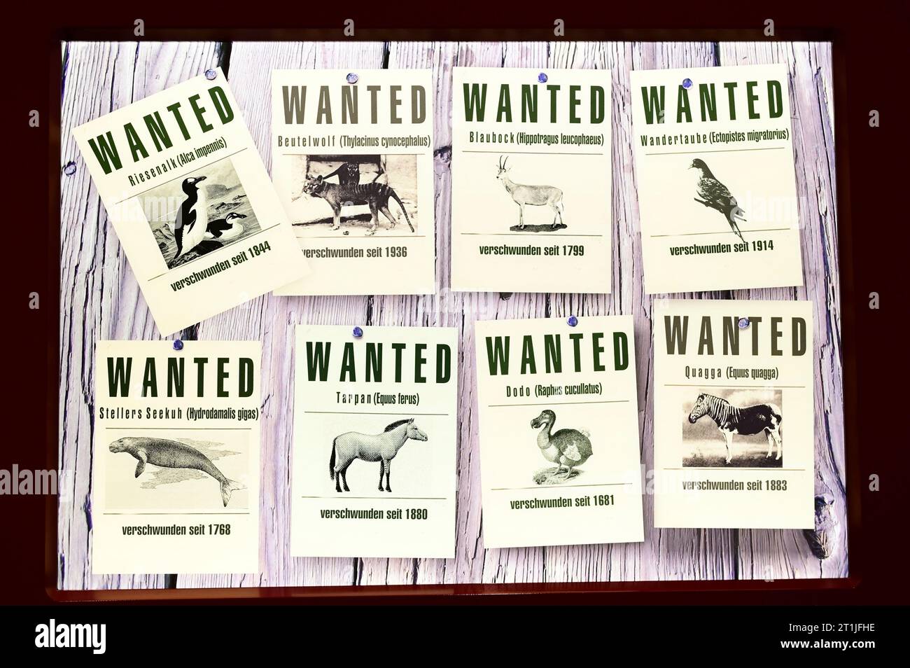 Wanted posters hi-res stock photography and images - Alamy