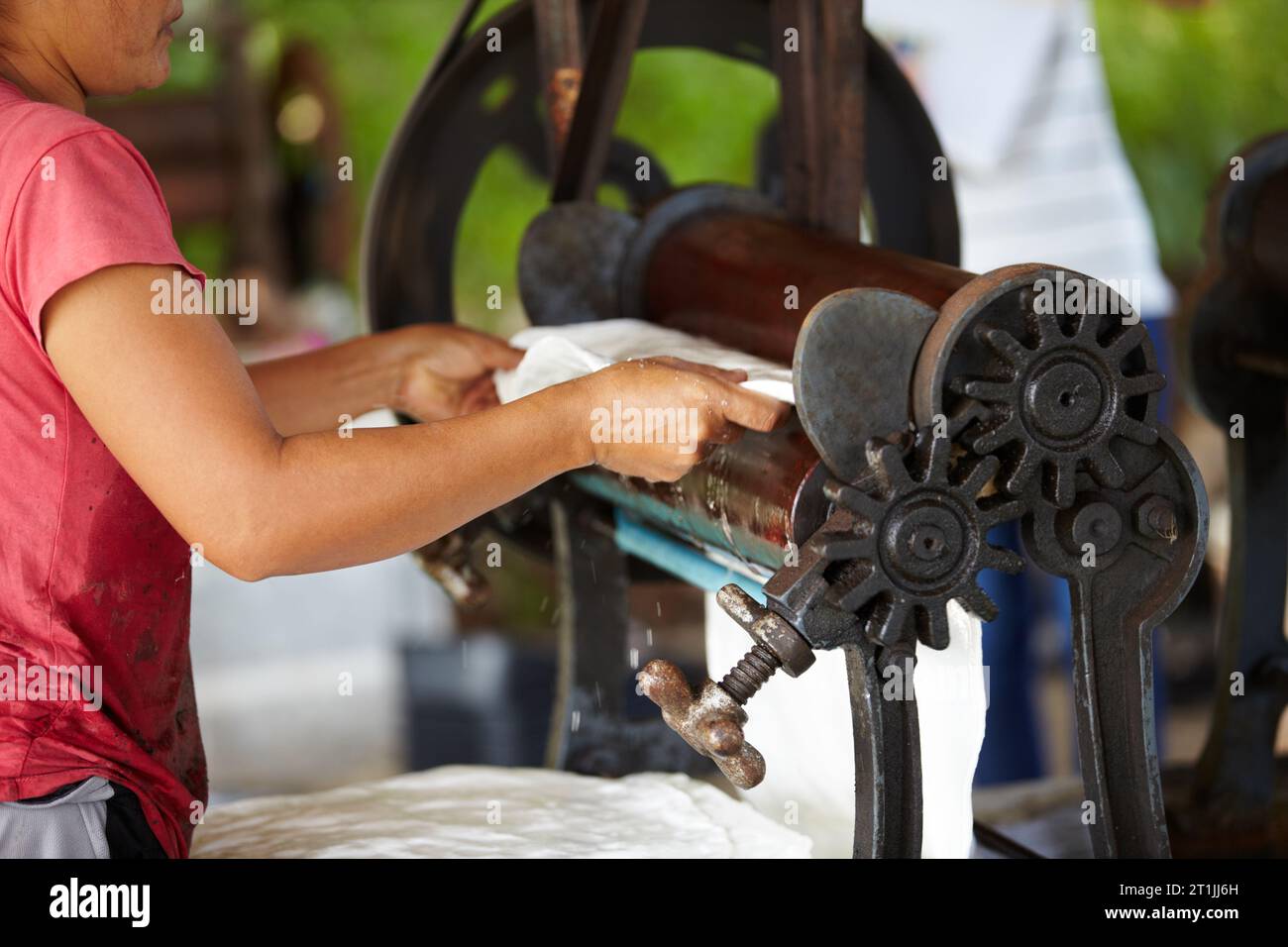 Rubber, farming and hands of person with roller in workshop, factory ...