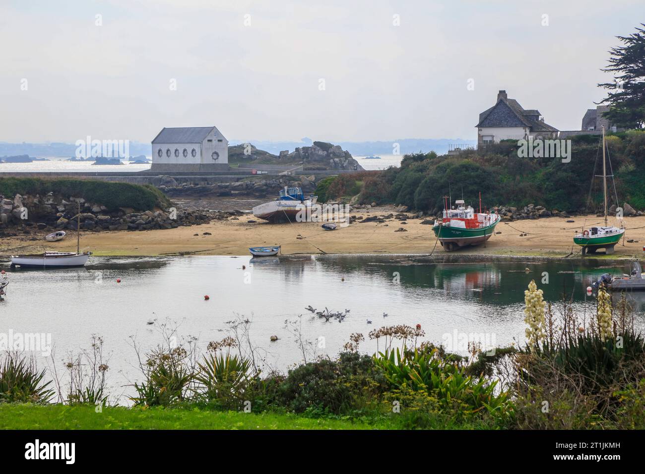 Insel Ile de Batz im Ärmelkanal vor der bretonischen Küste bei Roscoff ...
