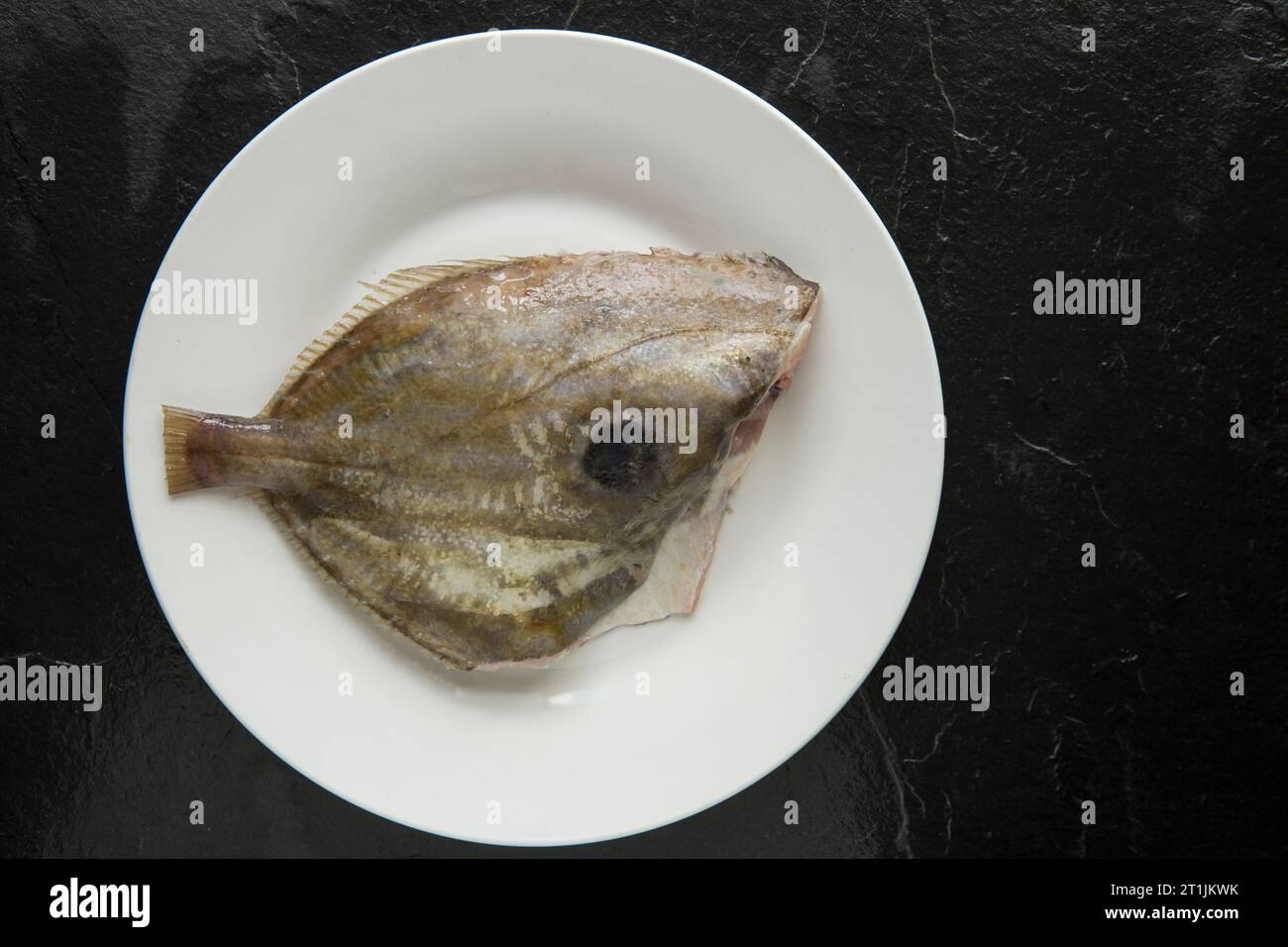 A raw John Dory, Zeus faber, caught in the English Channel that has ...