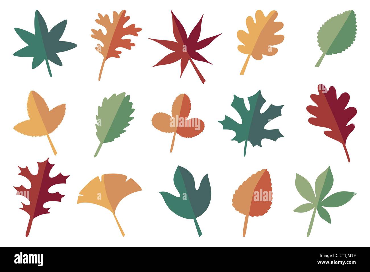 Autumn leaves. Yellow red and green leaf, fall deciduous season, bright ...