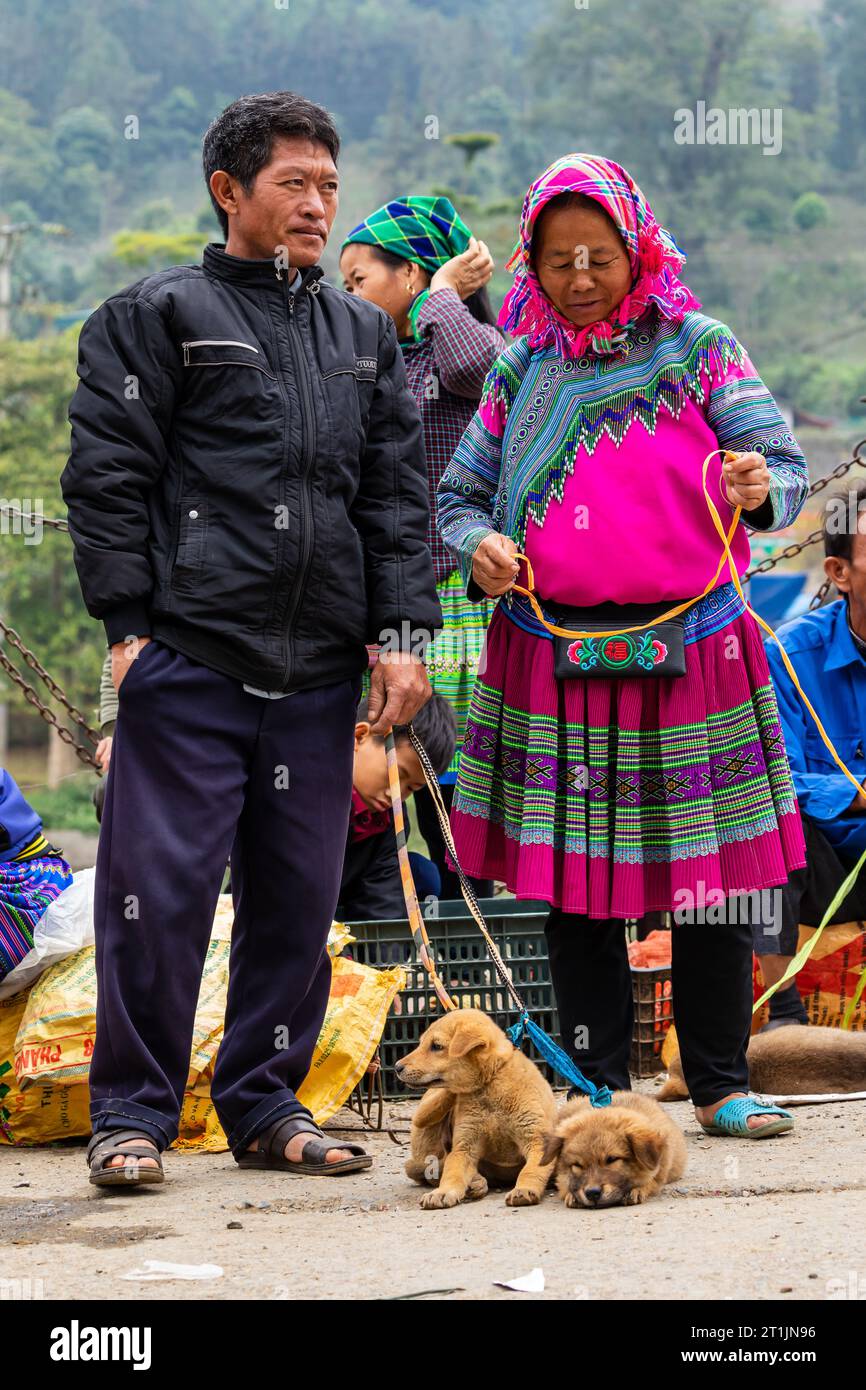 The puppies and dogs at the Farmers Bac Ha Market in North Vietnam ...