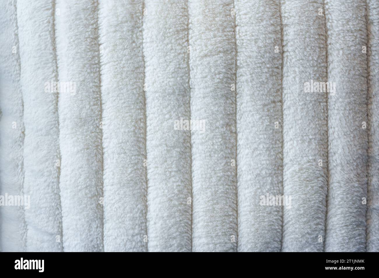 Light furry surface hi-res stock photography and images - Alamy
