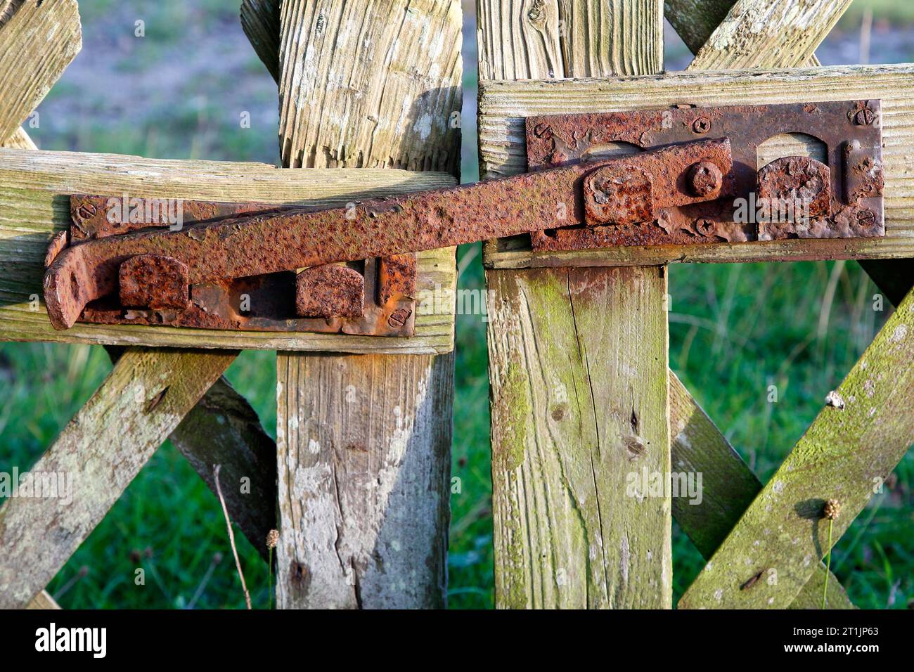 Rustic charm, a weathered metal latch on an aged wooden garden gate. A ...
