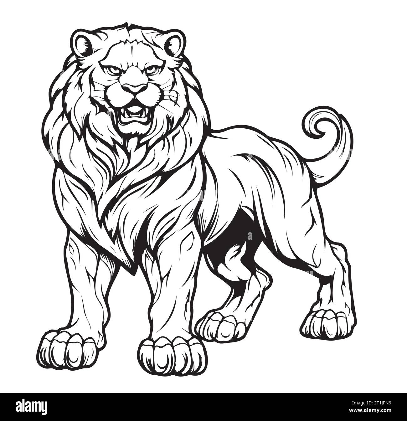 White lion standing in nature Black and White Stock Photos & Images - Alamy