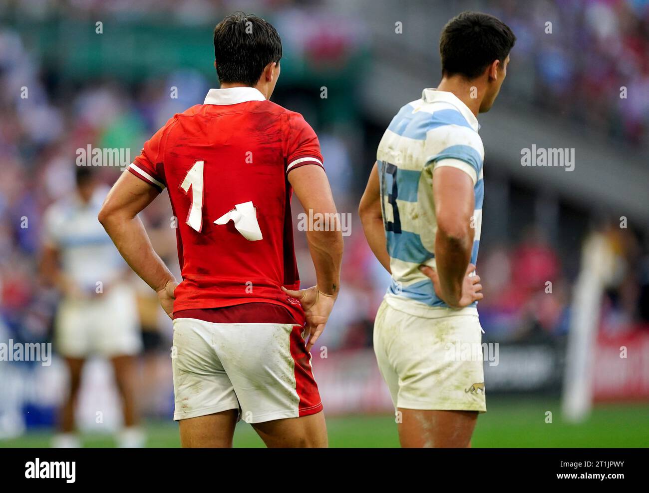 The numbers of the back of Wales' Louis Rees-Zammit's shirt hang off ...